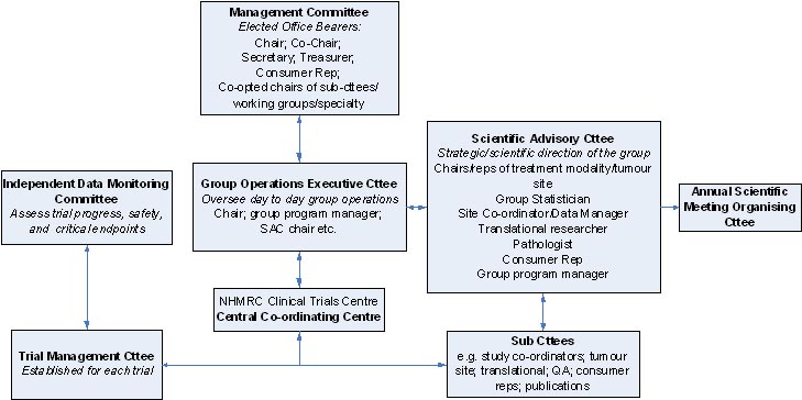 COGNO - Organisational Chart